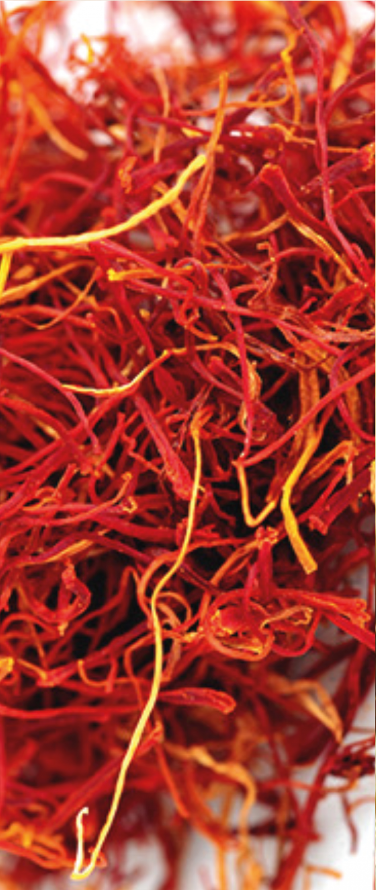 ROSE OUD REED DIFFUSER 100ml - T London